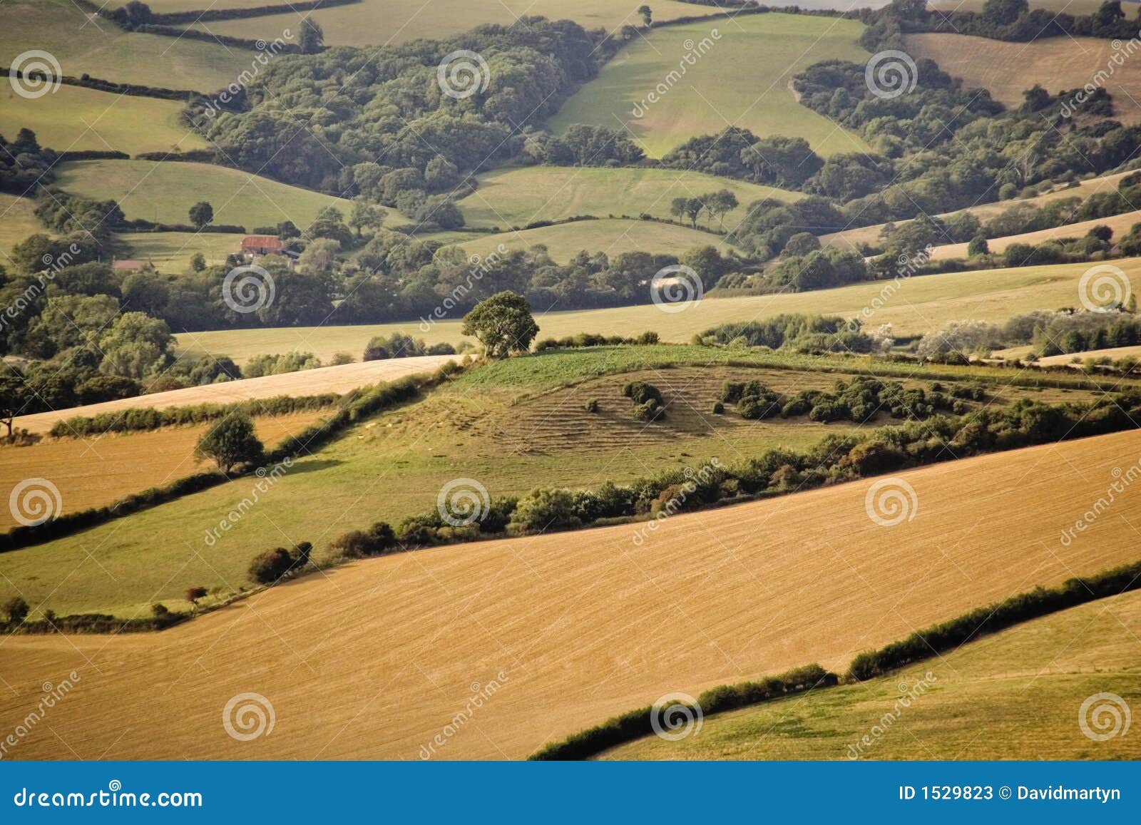 Devon Countryside Scenic Country Stock Image - Image of landscape ...