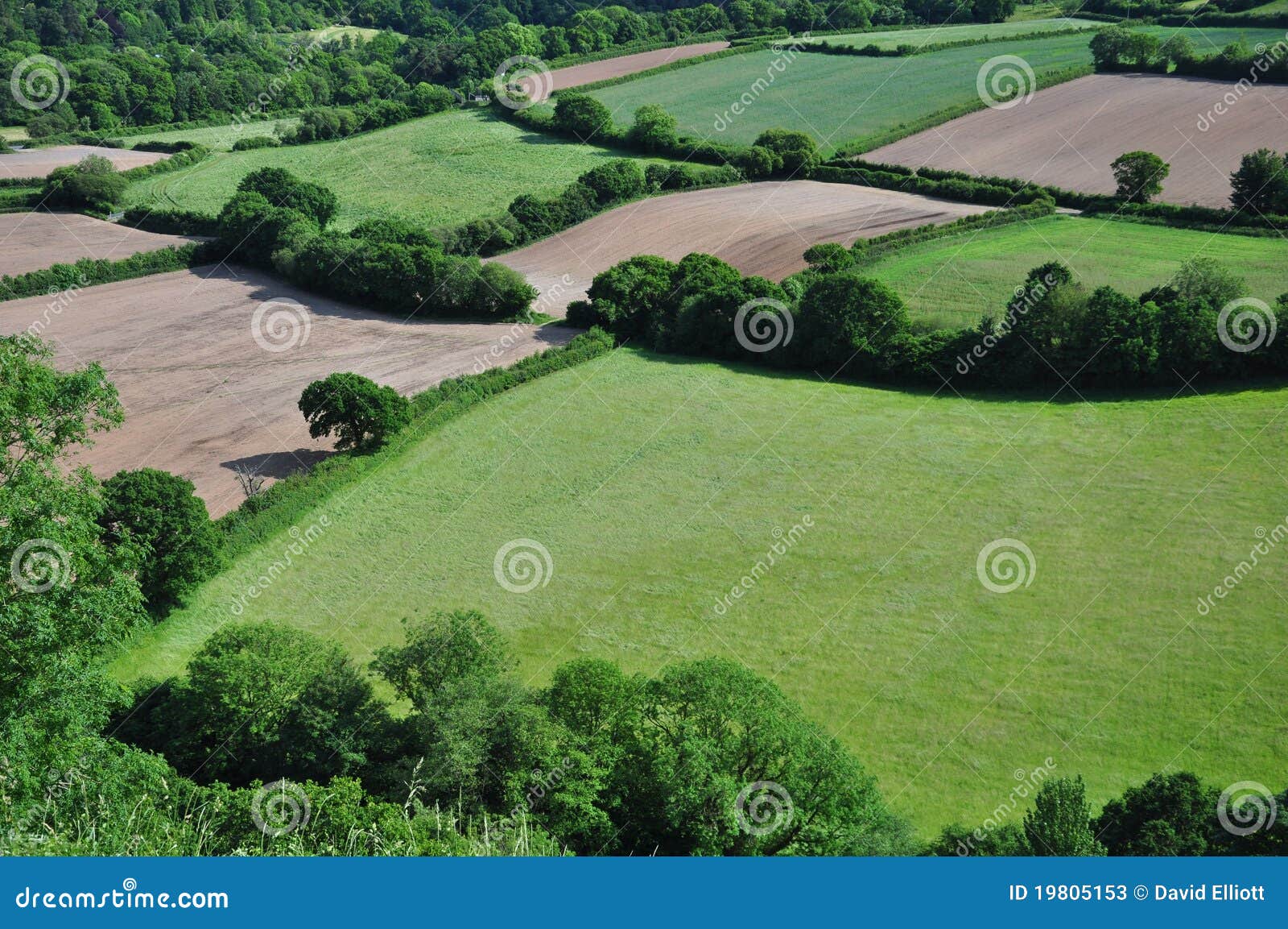 Devon farmland stock image. Image of grass, pasture, nature - 19805153