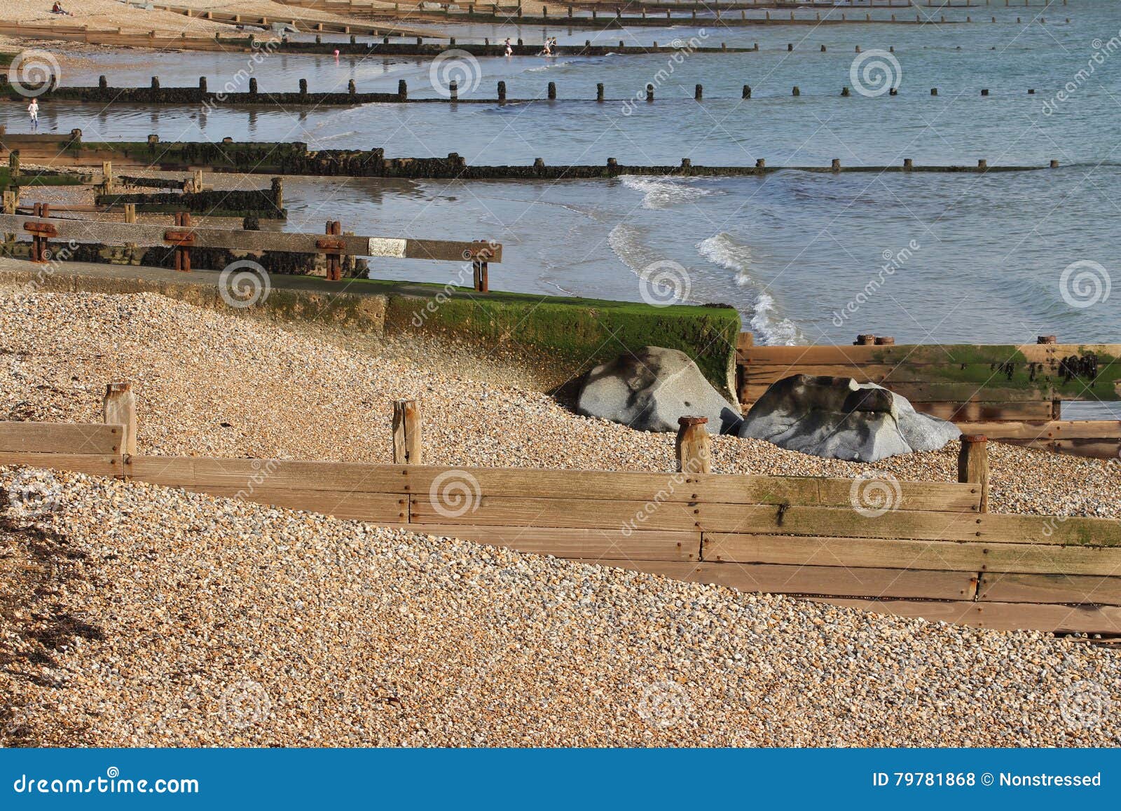 Devon groynes stock photo. Image of migrating, seafloor - 79781868