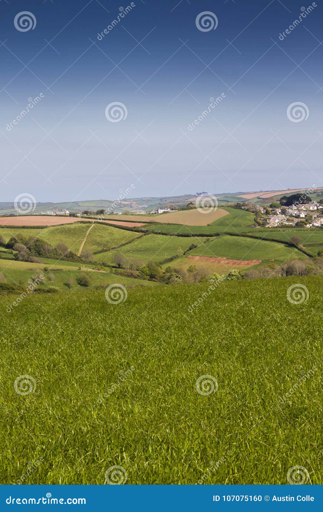 Devon Patchwork Fields and Blue Sky Stock Photo - Image of england ...