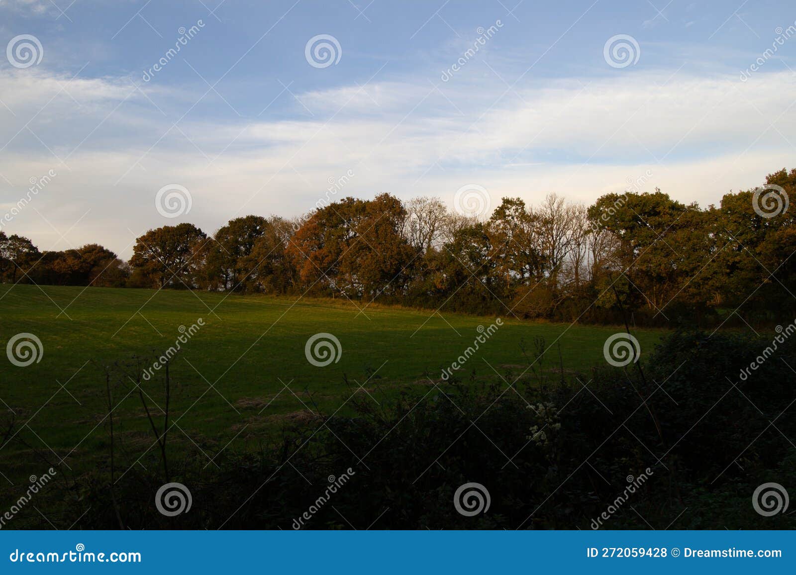 Devon Small Fields for Grazing with Trees Stock Photo - Image of small ...