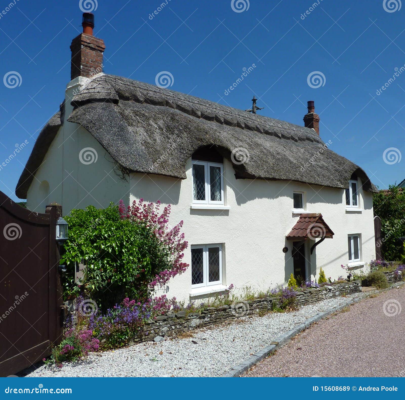 Devon Thatched Cottage stock image. Image of house, england - 15608689