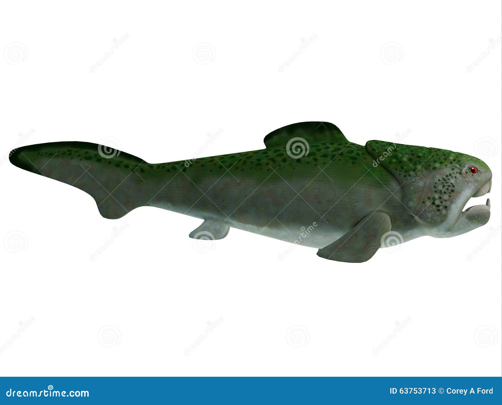Devonian Dunkleosteus Fish stock image. Image of morocco - 63753713