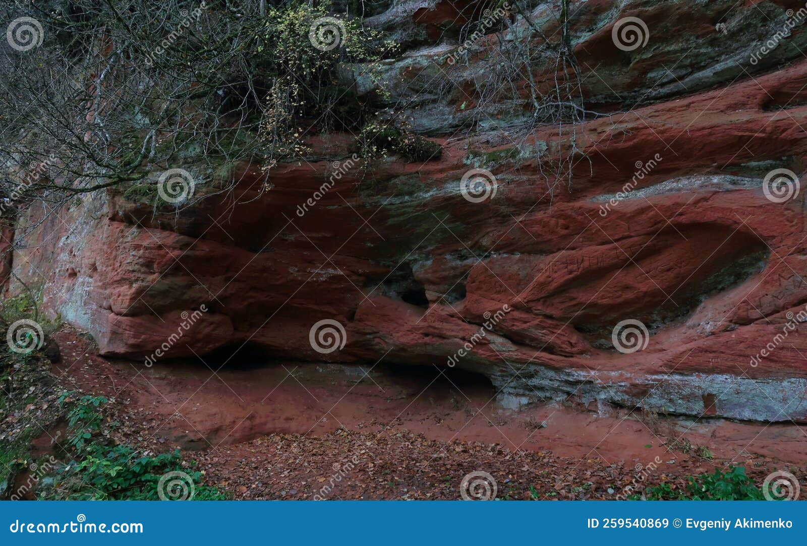 Devonian Red Sandstones Close Up Stock Image - Image of terrain ...