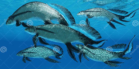 Devonian Scaumenacia Fish stock illustration. Illustration of ...