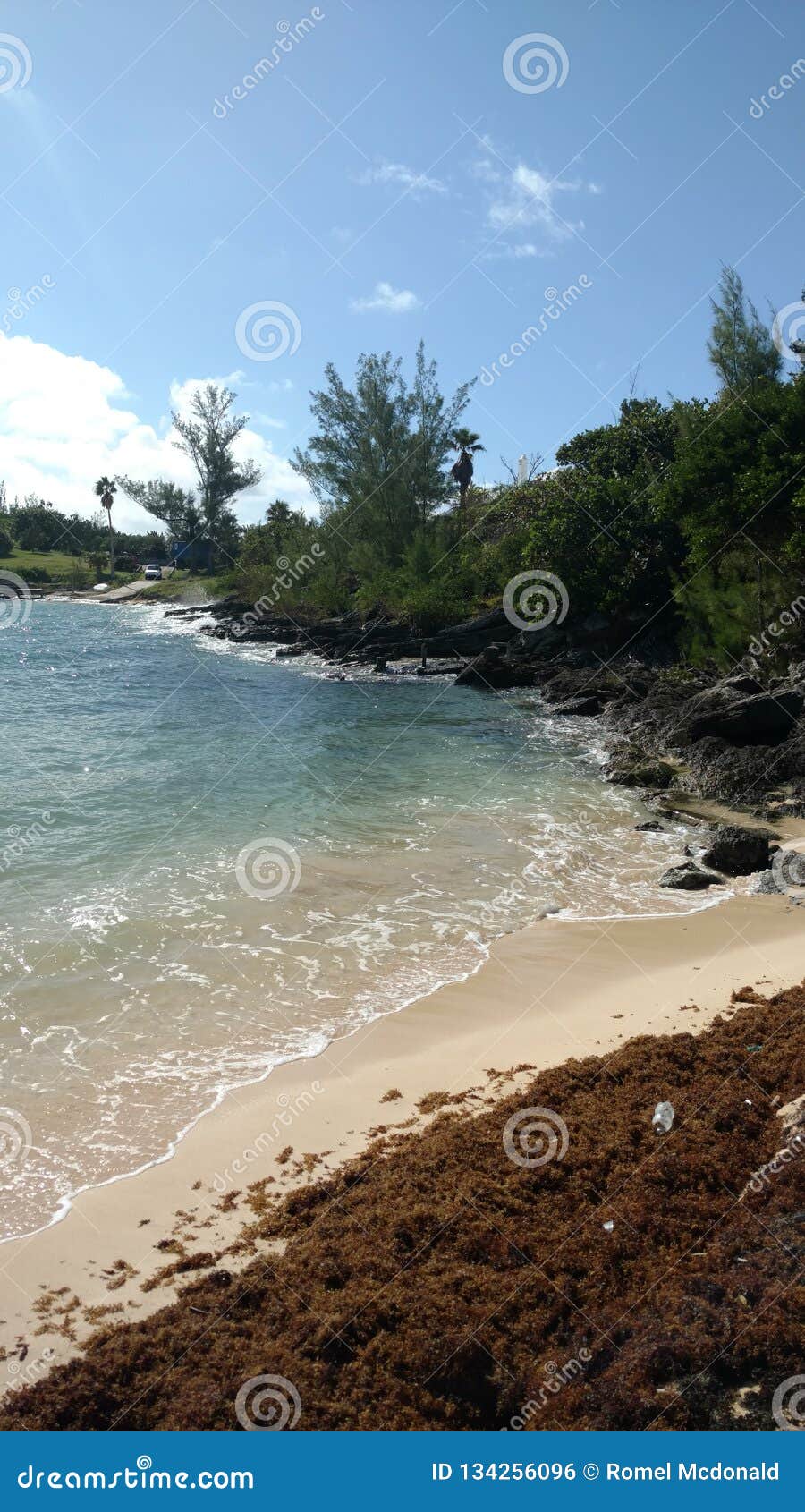 Devonshire Bay stock photo. Image of devonshire, beach - 134256096