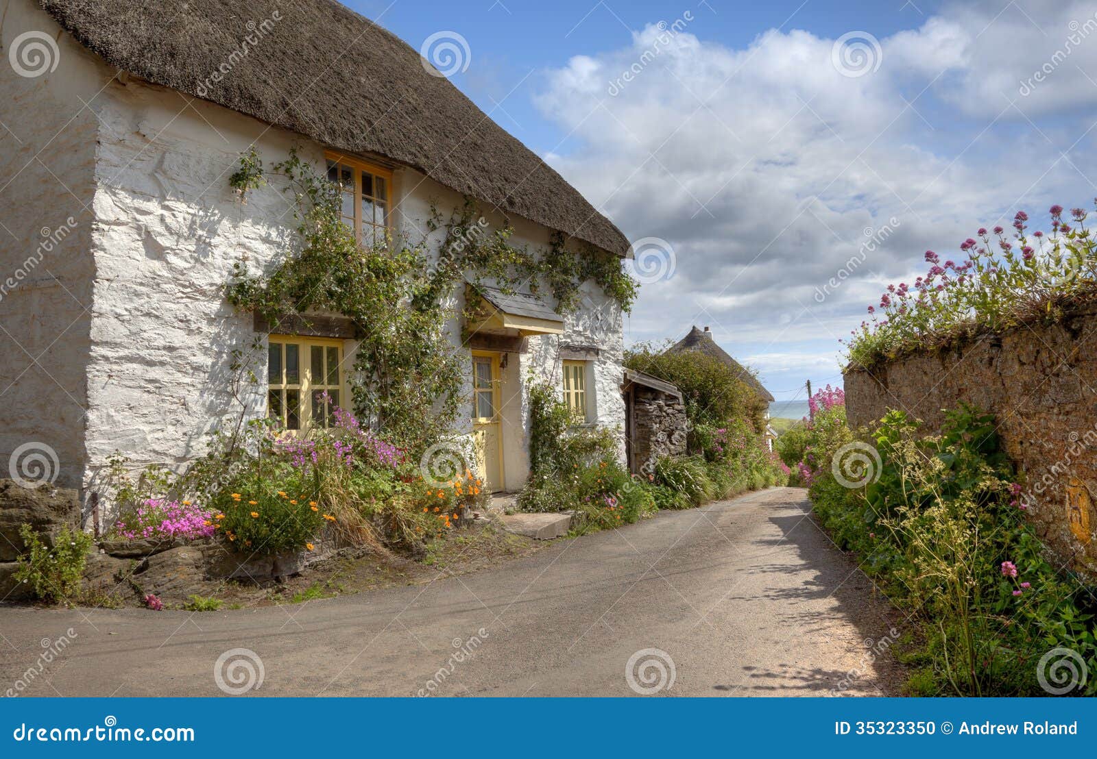 Devonshire cottage stock photo. Image of thatched, devonshire - 35323350