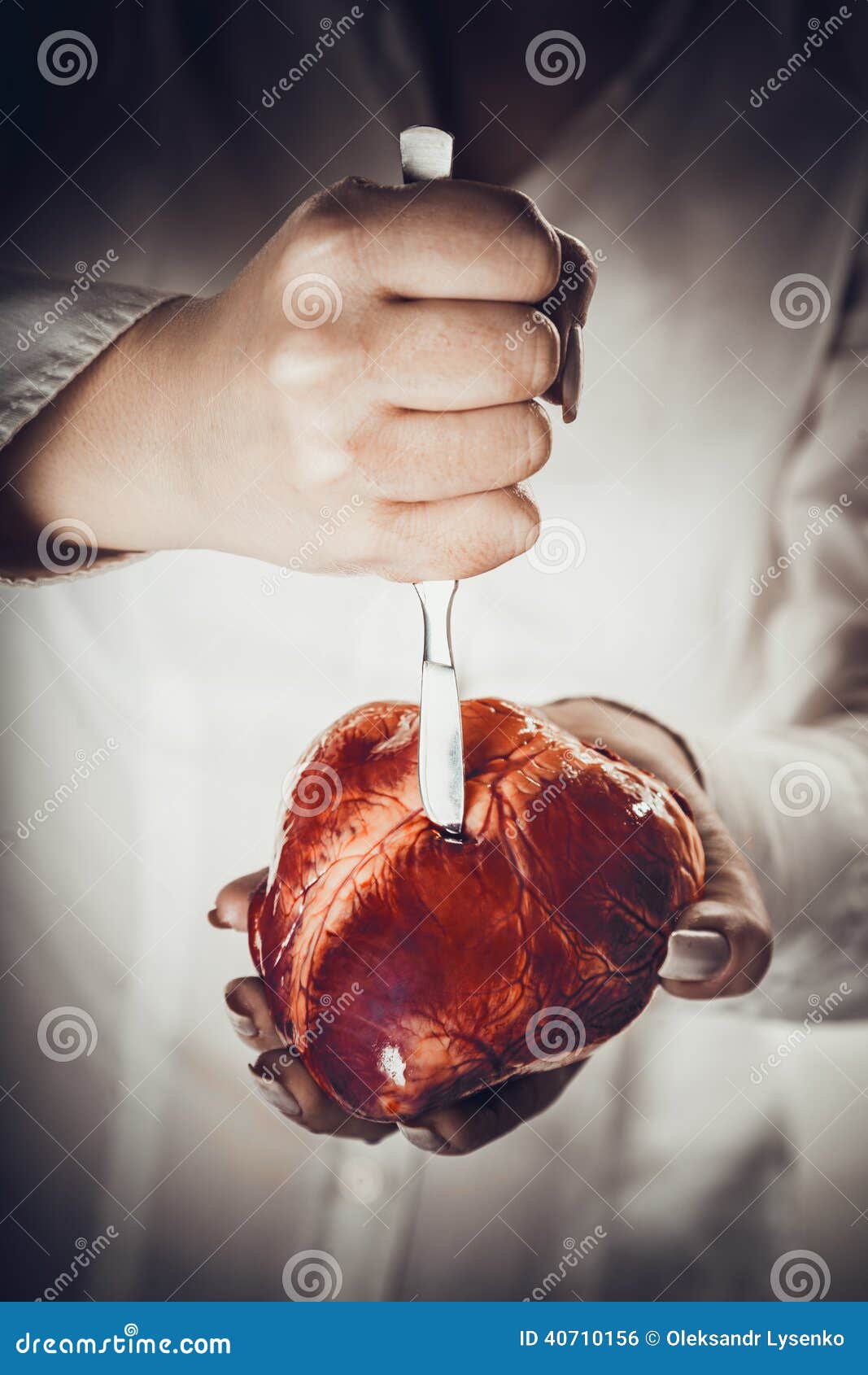 Devoted heart stock photo. Image of background, artery - 40710156