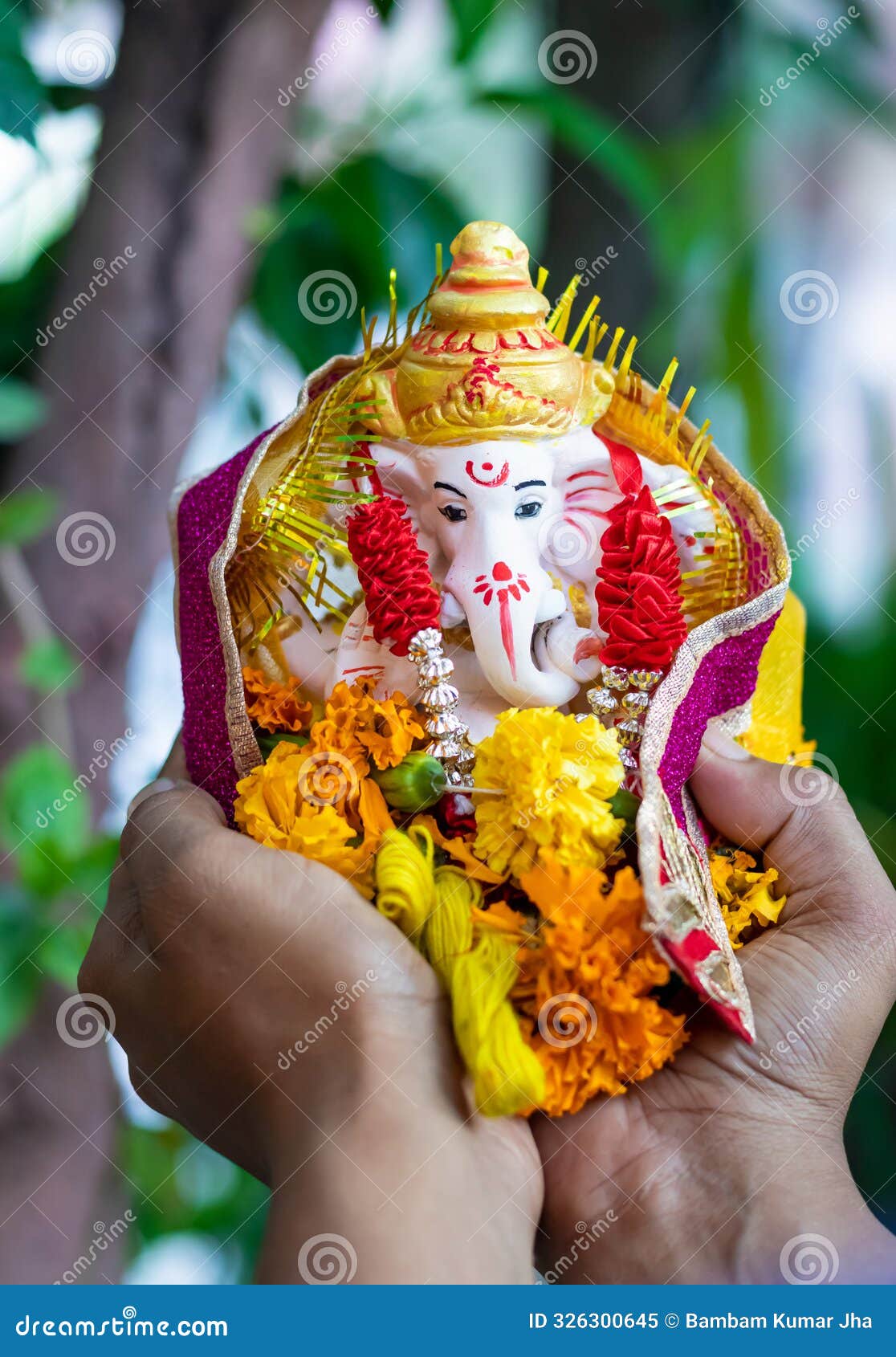 Devotee Holding Holy Aegle Marmelos Or Bael Leaf In Hand From Different ...