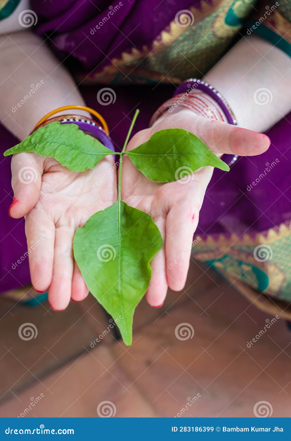 Devotee Holding Holy Aegle Marmelos or Bael Leaf in Hand from Different ...