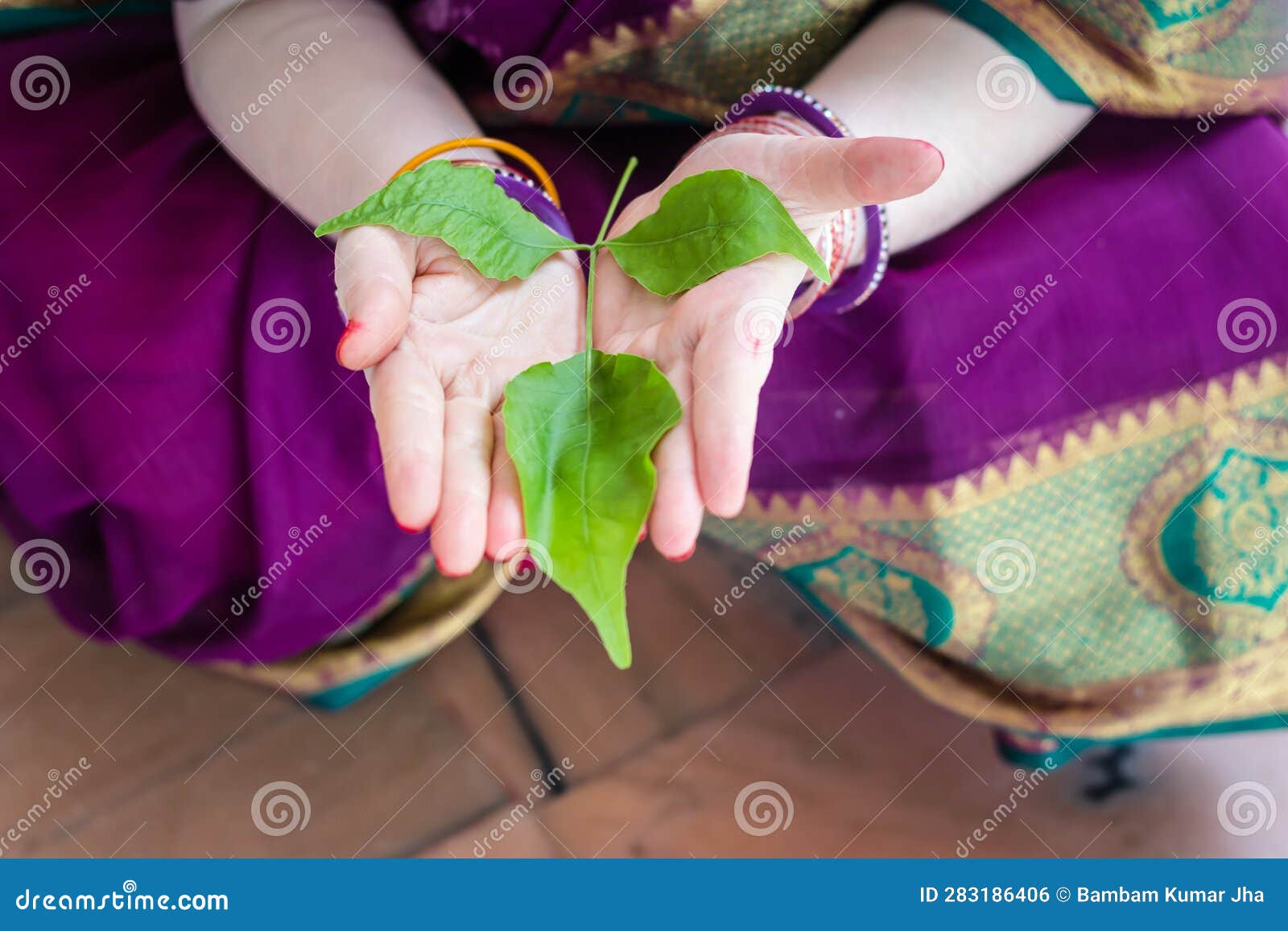 Devotee Holding Holy Aegle Marmelos or Bael Leaf in Hand from Different ...