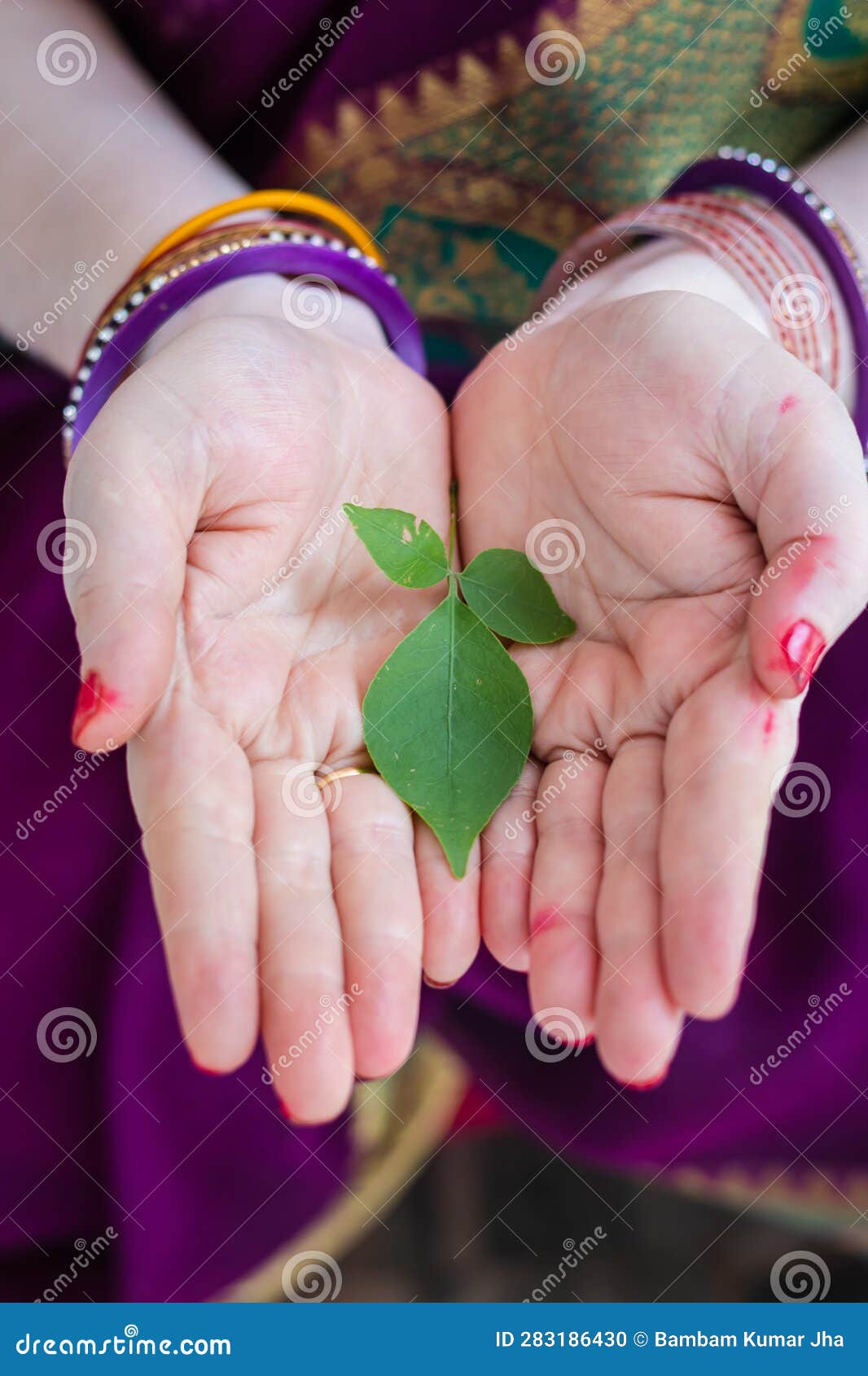 Devotee Holding Holy Offerings For Worshiping Of God At Day Royalty ...