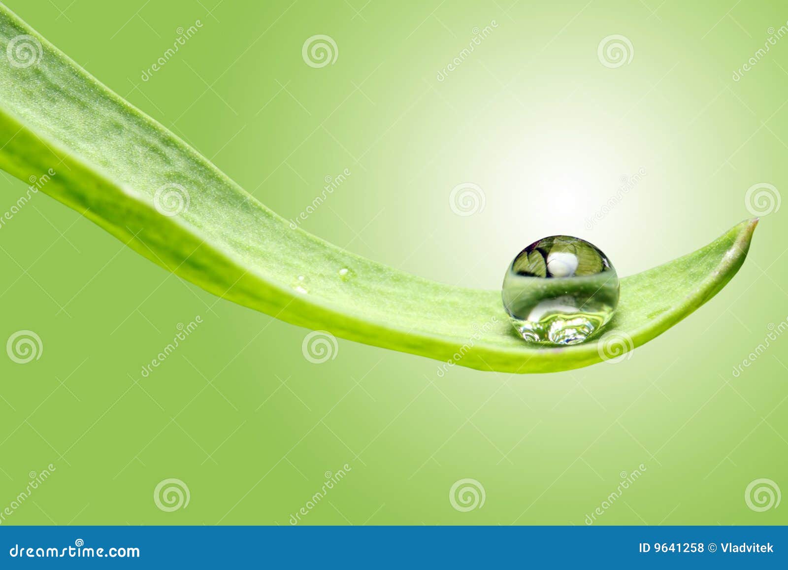 Dew drop stock photo. Image of abstract, morning, nature - 9641258