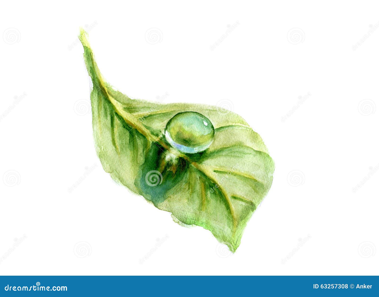 Dew drop on green leaf stock illustration. Illustration of drawn - 63257308