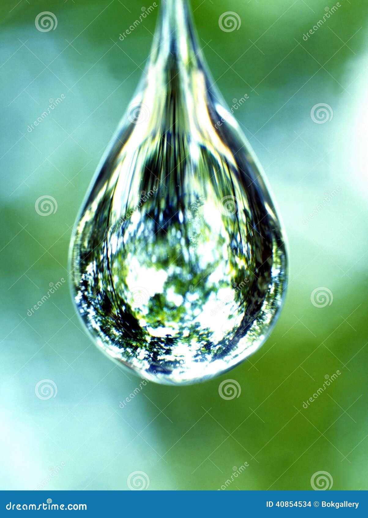 Dew Drop with Jungle Reflection Stock Photo - Image of morning ...
