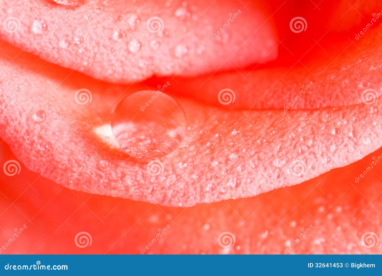 Dew drop stock image. Image of healthcare, conservation - 32641453