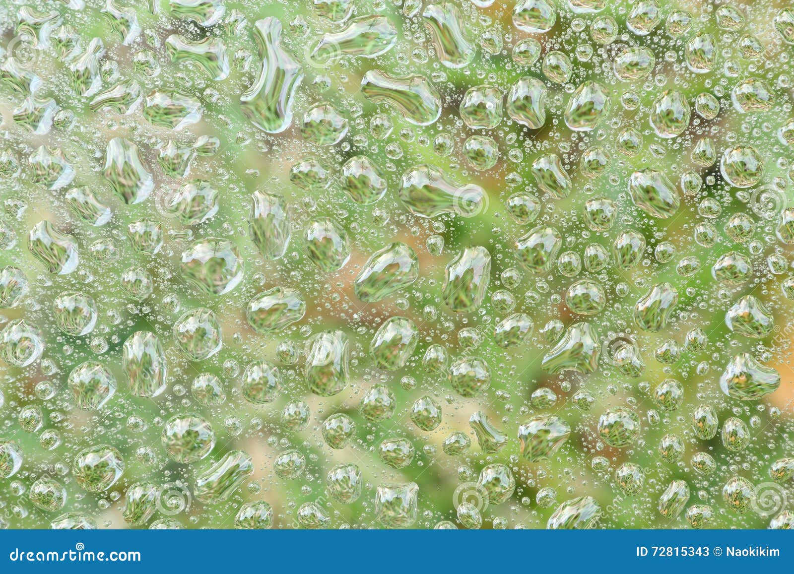 Dew Drop Texture on Natural Green Background Stock Image - Image of ...