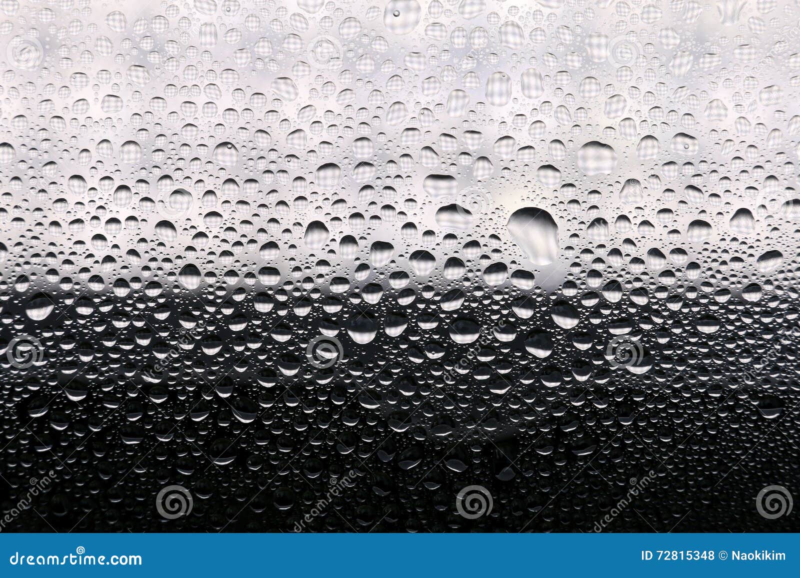 Dew Drop Texture on White Light Background Stock Photo - Image of ...