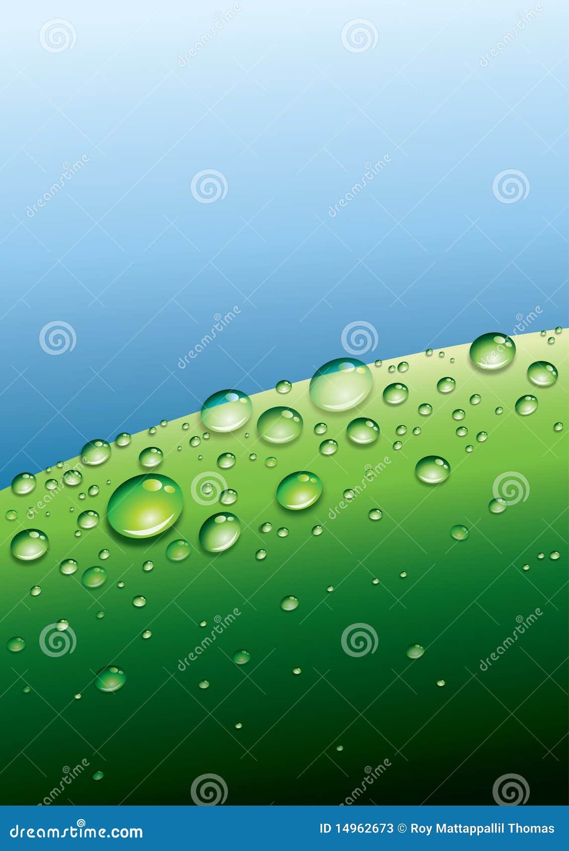 Dew drops stock vector. Illustration of clean, green - 14962673