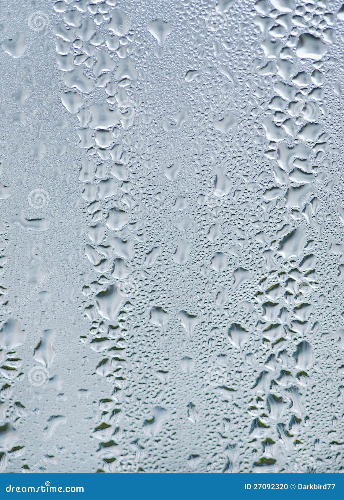 Dew drops stock photo. Image of fresh, background, colorful - 27092320