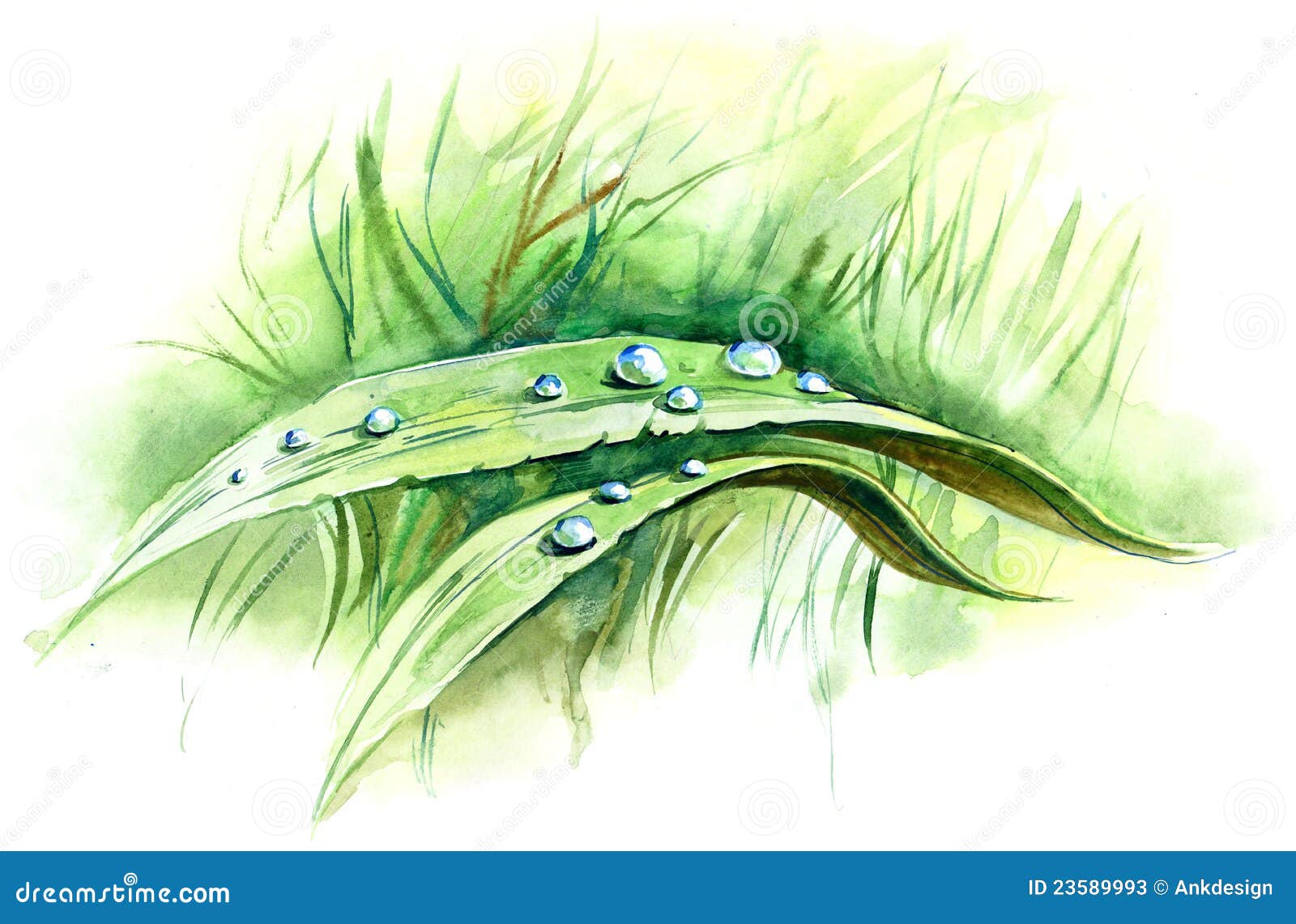 The dew is falling stock illustration. Illustration of leaves - 23589993