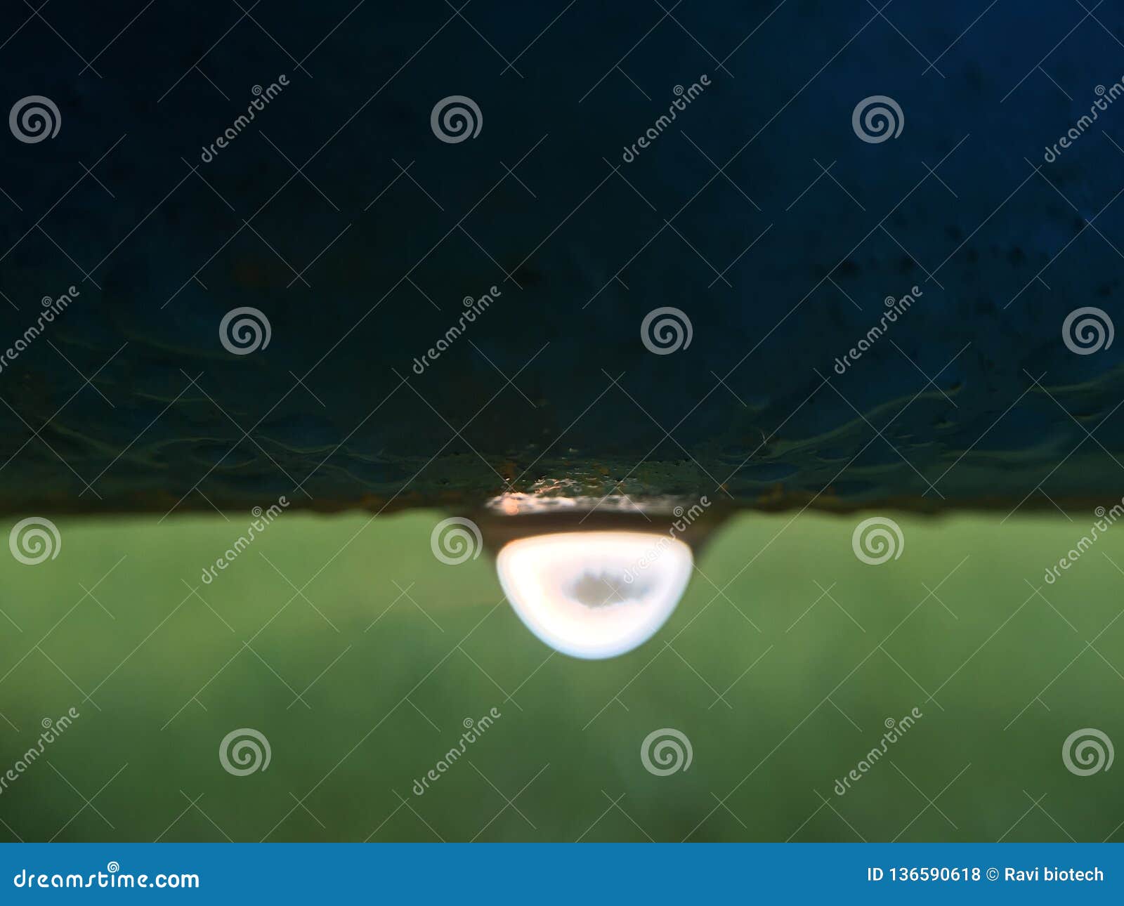 Dew form at morning view stock photo. Image of view - 136590618