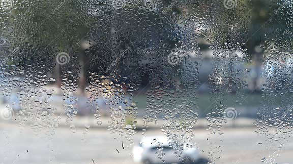 Dew on glass windows stock photo. Image of clean, light - 278595520