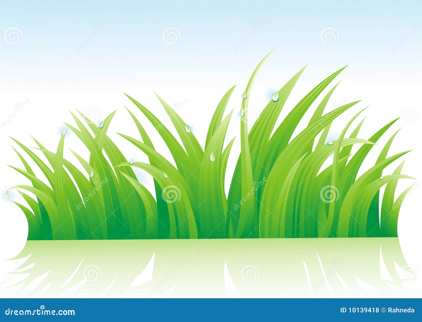 Dew on a grass stock vector. Illustration of staring - 10139418