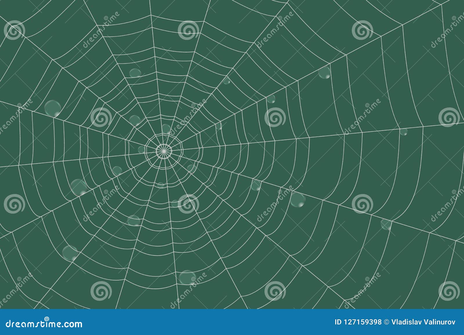 Dew on a Grid of Concentric Cobweb on Green Background Stock Vector ...