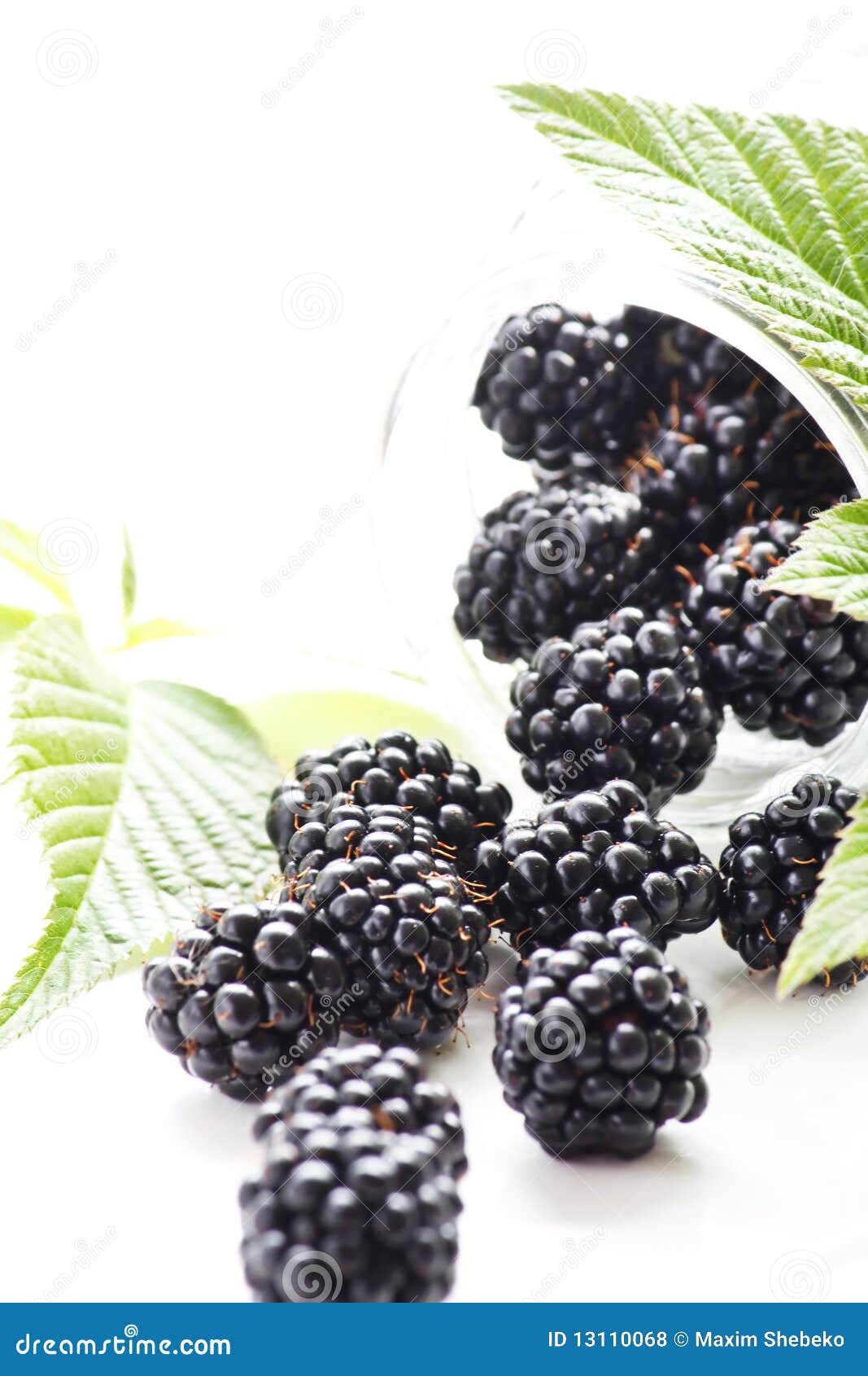 Dewberries stock photo. Image of sweet, food, healthy - 13110068