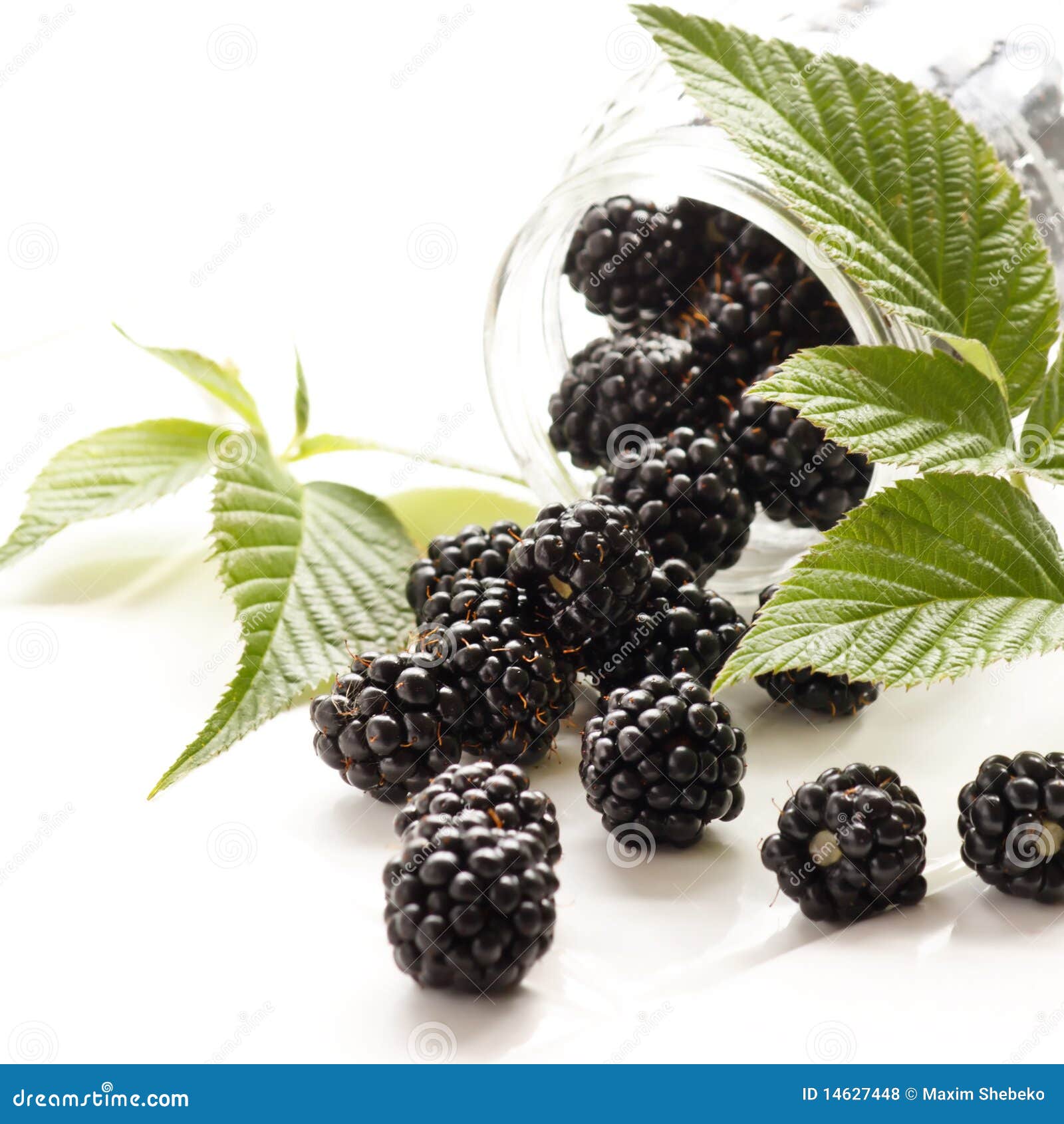 Dewberries stock photo. Image of dessert, tasty, diet - 14627448