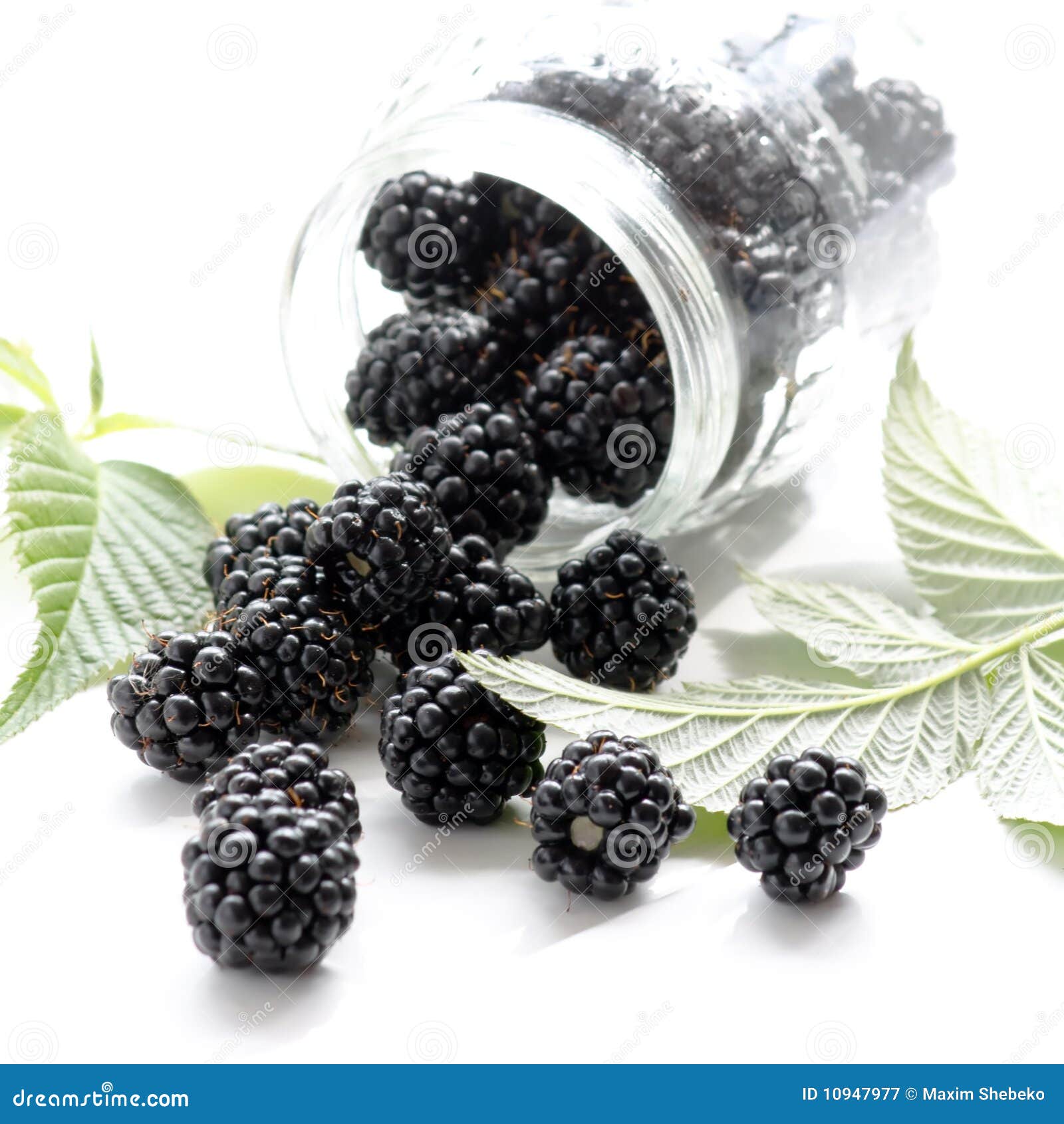 Dewberries (blackberries) stock image. Image of dessert - 10947977