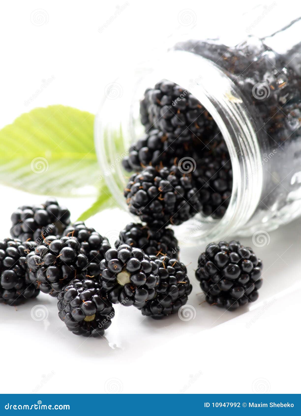 Dewberries (blackberries) stock photo. Image of blackberry - 10947992