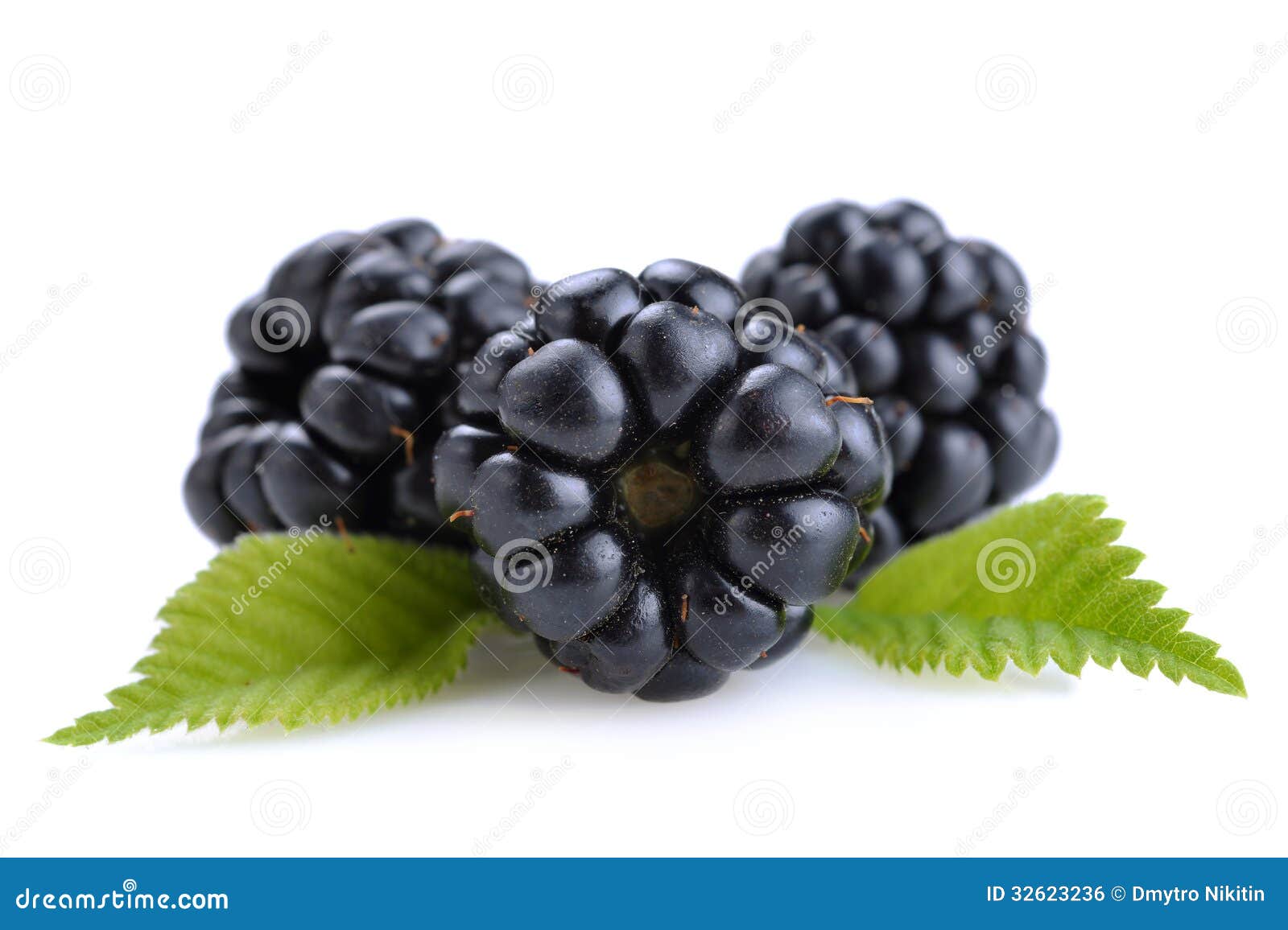 Dewberries (blackberries) and Green Leaves Stock Photo - Image of black ...