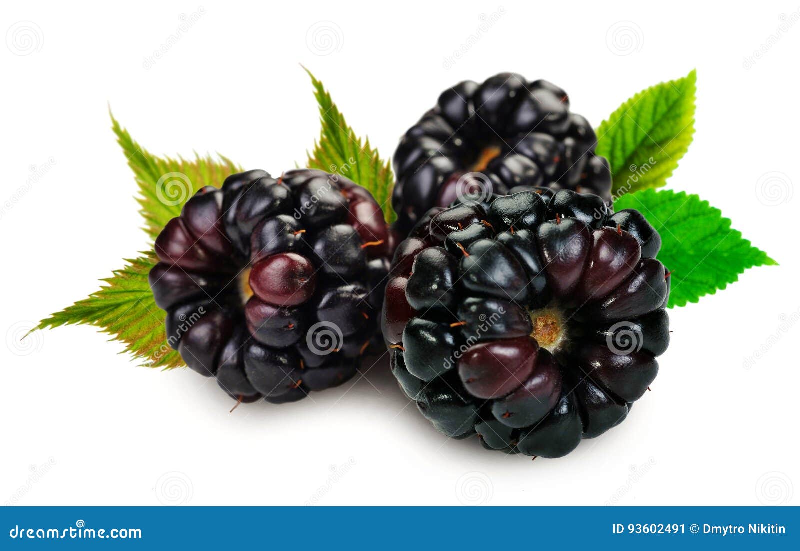 Dewberries Blackberries and Green Leaves Stock Image - Image of food ...