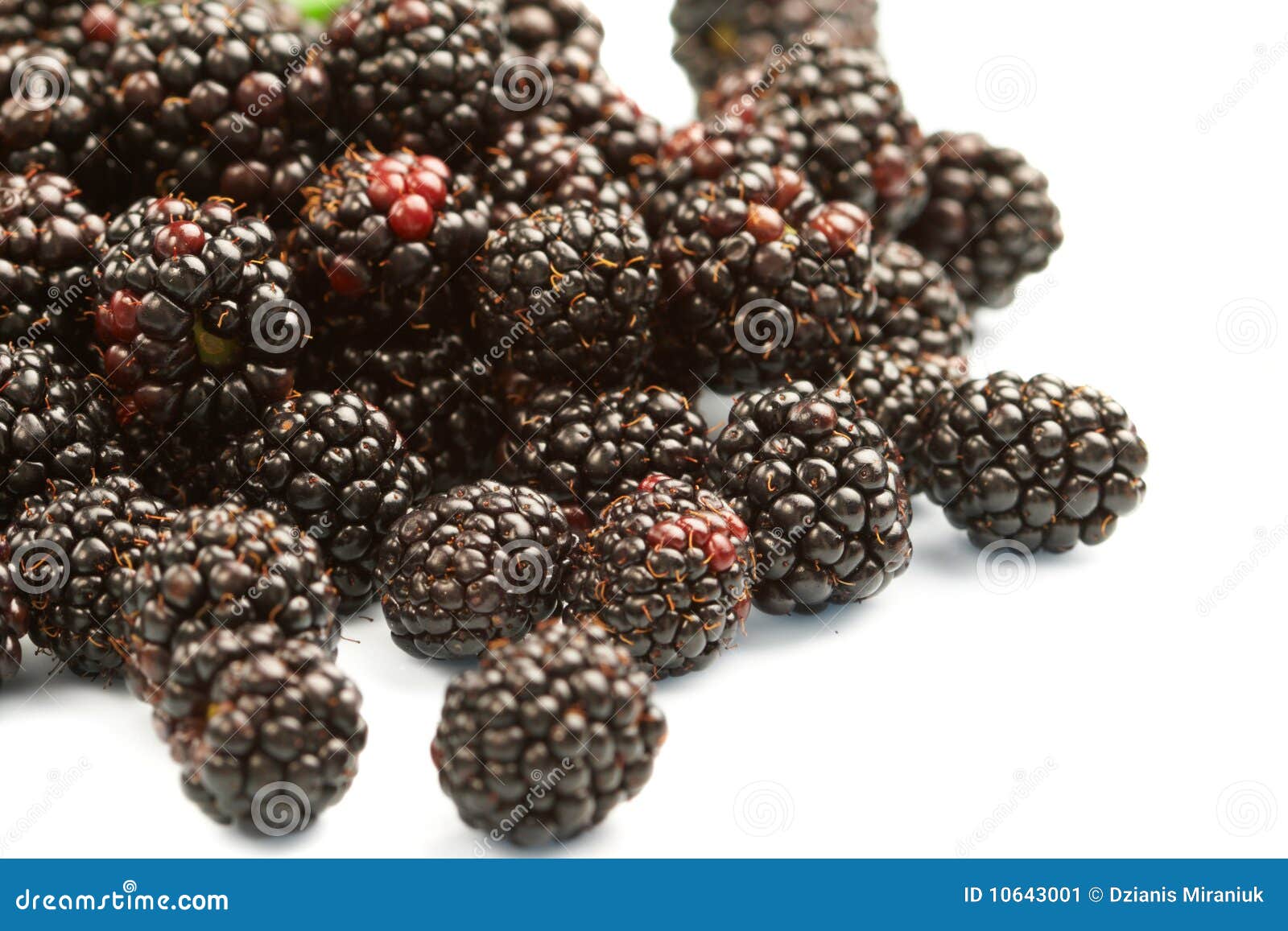 Dewberry stock image. Image of garden, close, blue, diet - 10643001