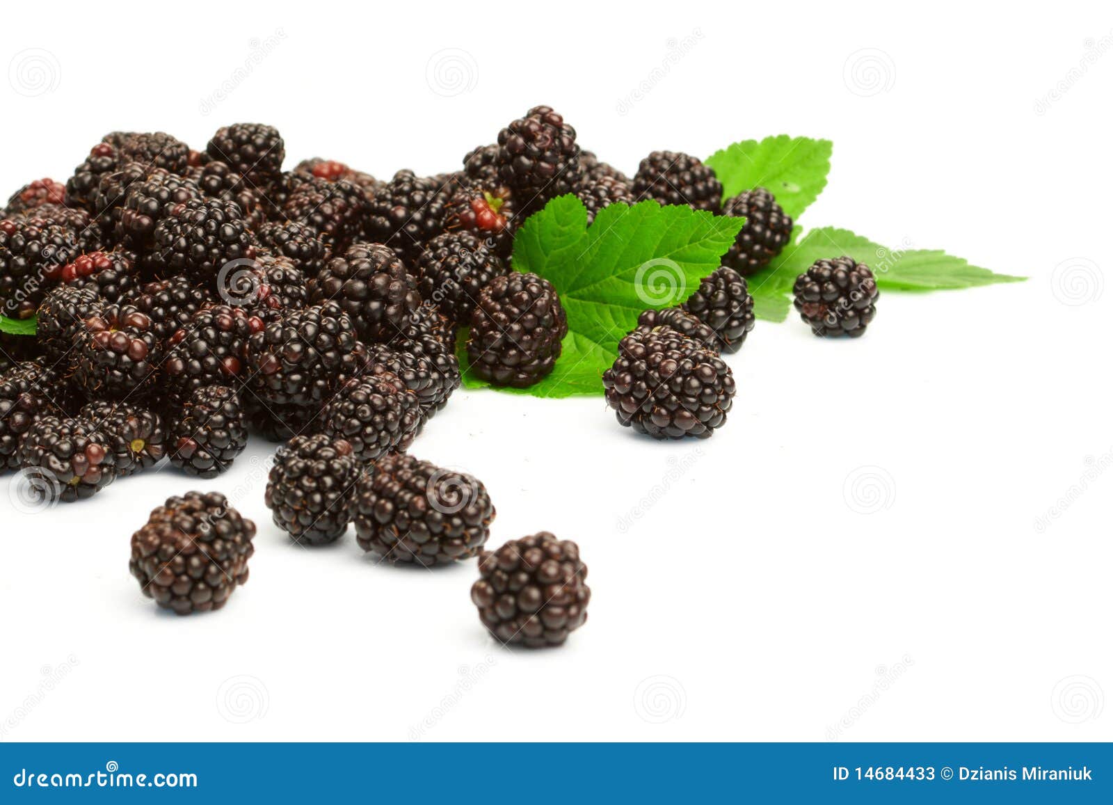 Dewberry stock image. Image of health, berry, mellow - 14684433