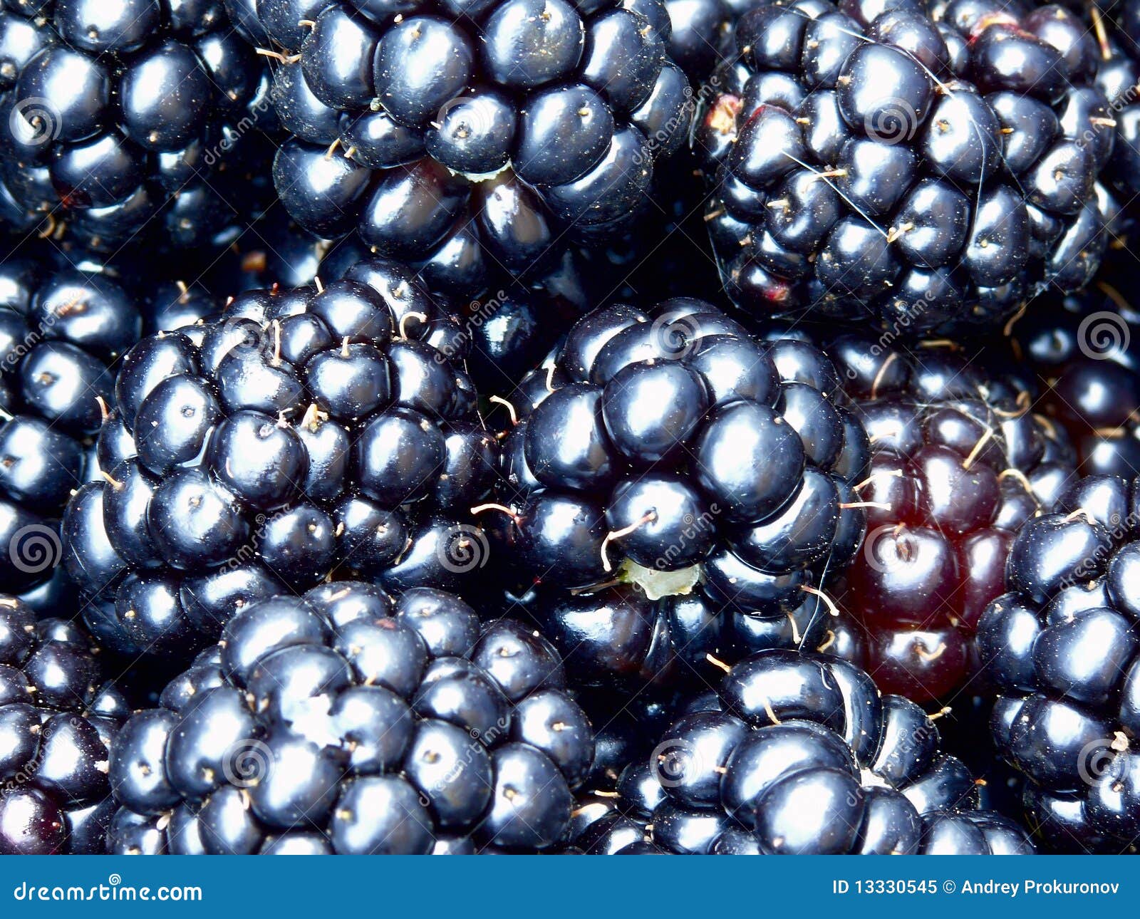 Dewberry. Berries. Texture. Stock Image - Image of dewberry ...