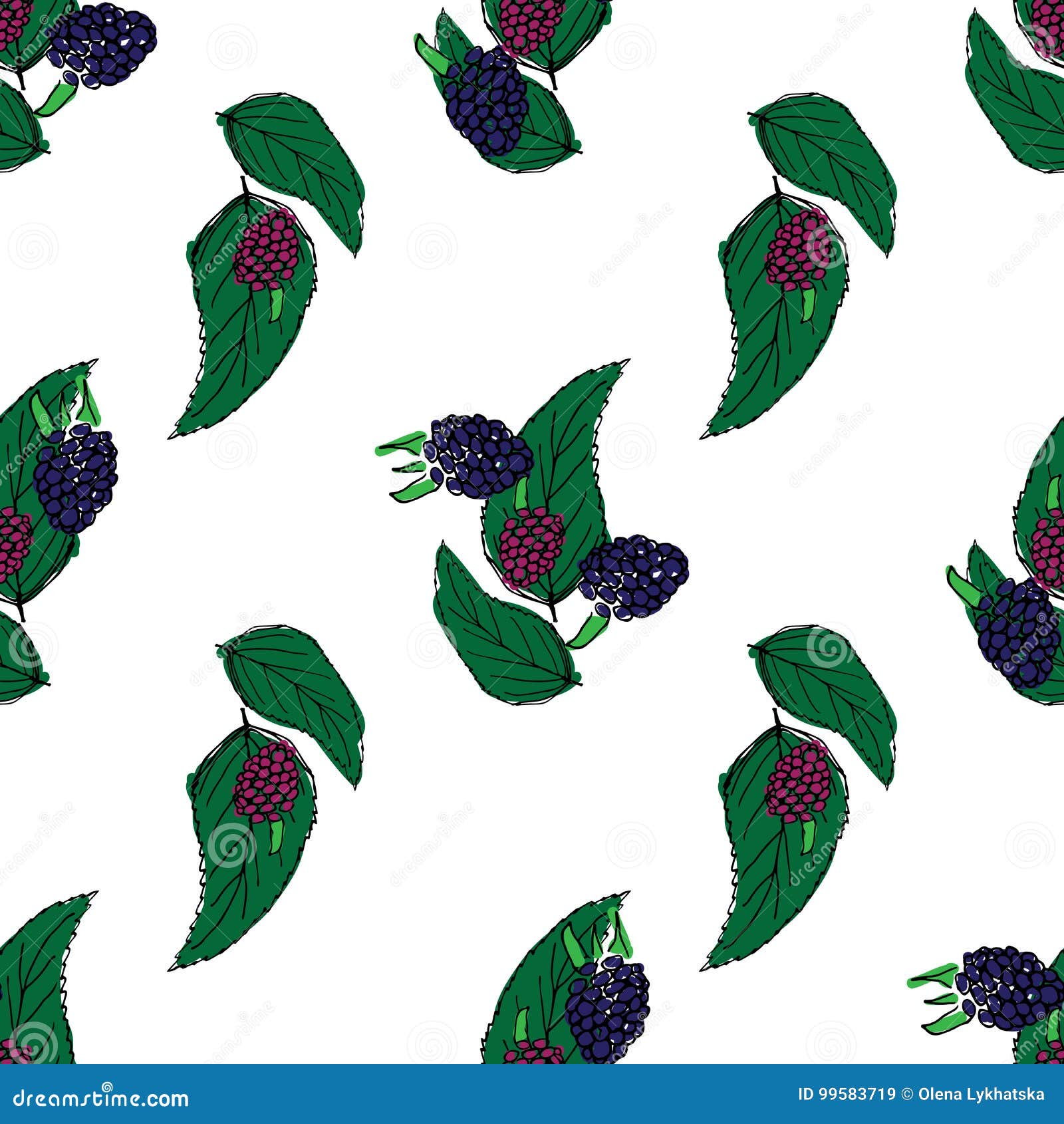 Dewberry Hand Drawn Pattern on White Stock Vector - Illustration of ...