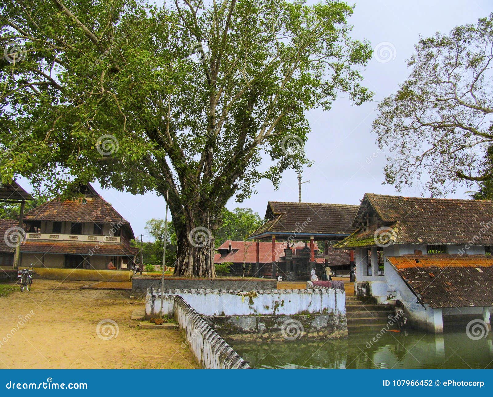 Dharmashastra Temple, Tagari, Kerala, India Stock Photo - Image of ...