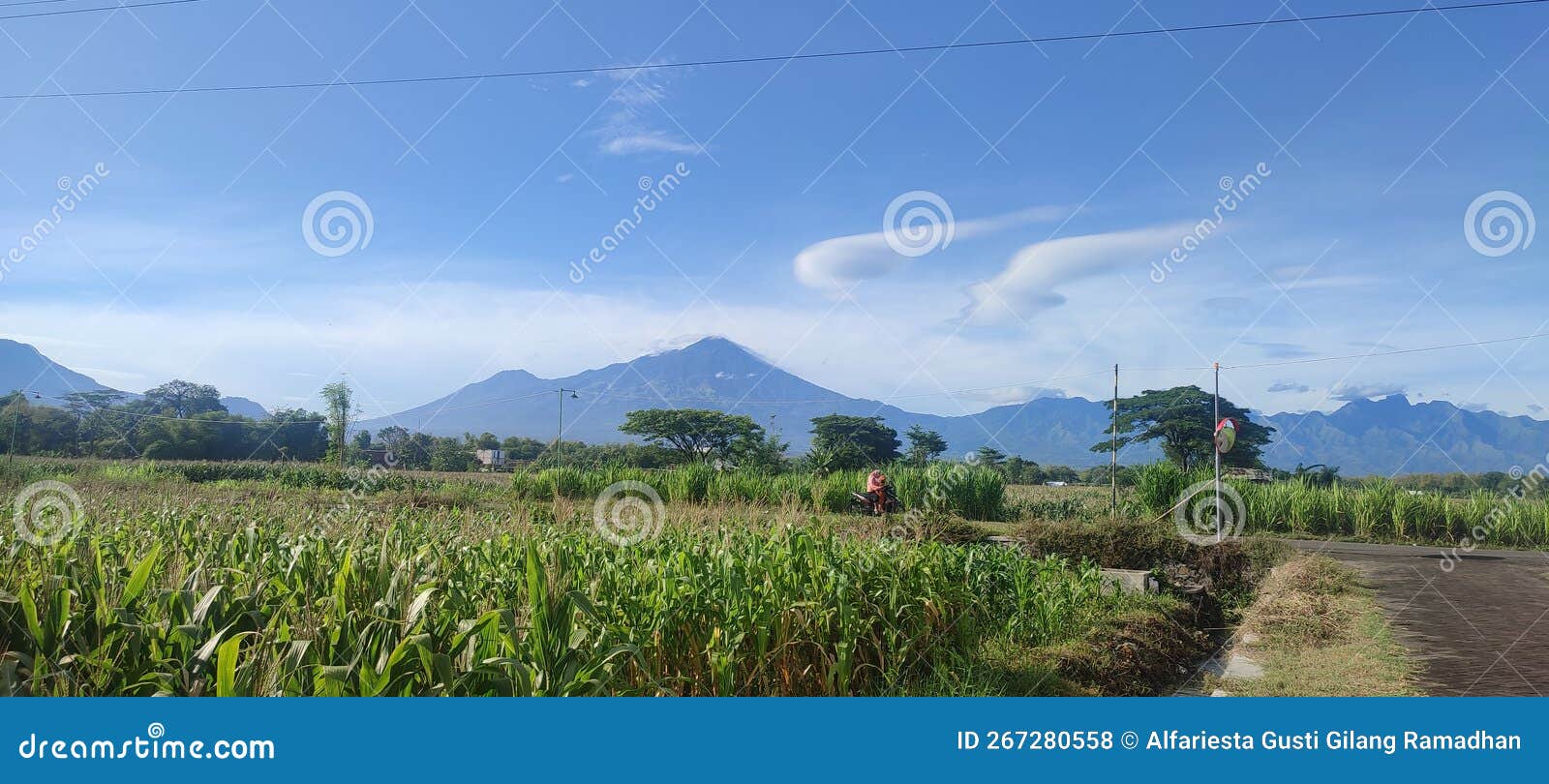 Royalty Free Images, Cartoons, Illustrations And Photos Designed By ...