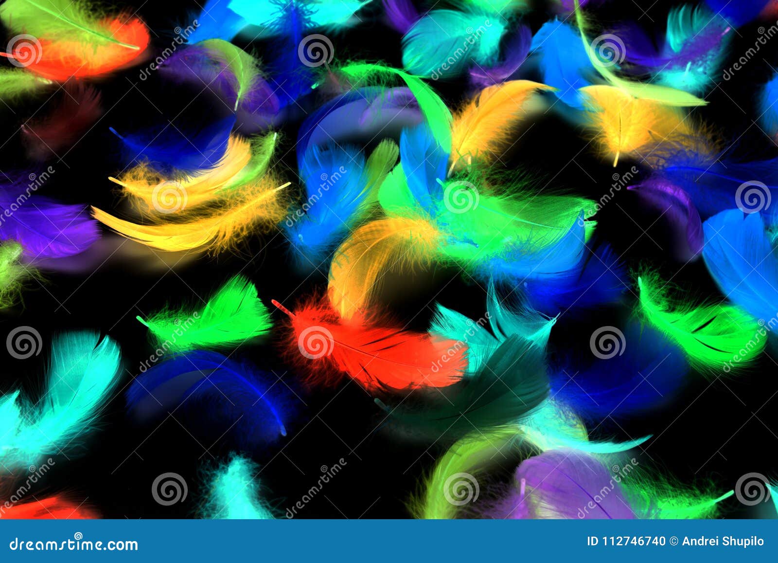 Di Piume Colorate Multi Su Un Fondo Nero Fotografia Stock - Immagine di ...