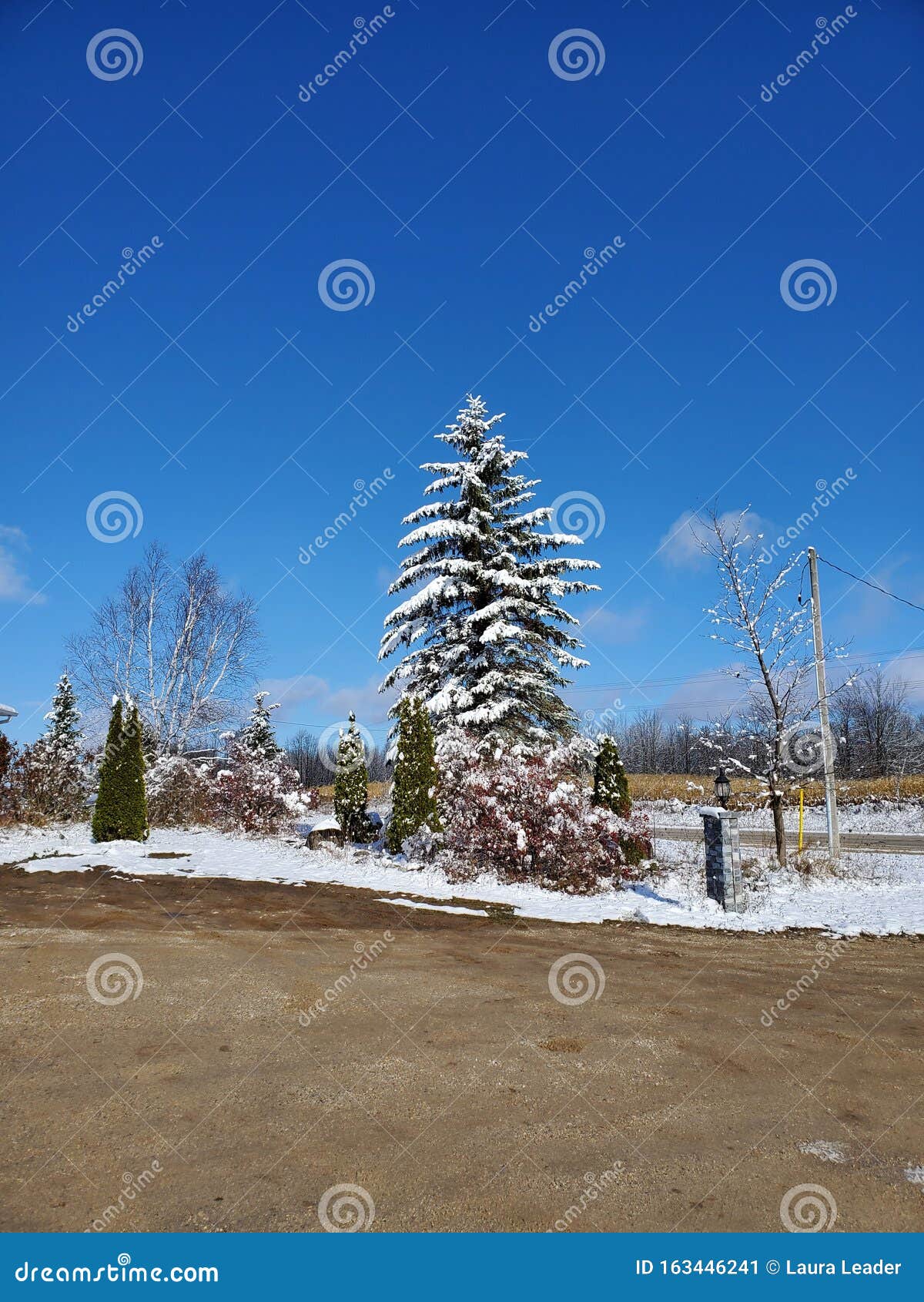 Dia Frio Ensolarado E Nevado Imagem de Stock - Imagem de neve, estalo ...