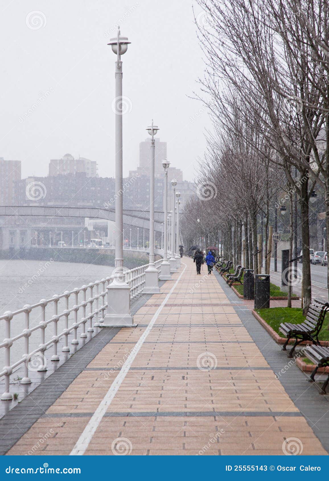 Dia nevado em Bilbao imagem de stock. Imagem de bancos - 25555143