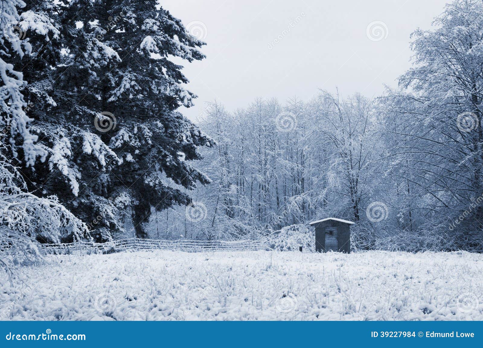 Dia nevado na ilha foto de stock. Imagem de gelo, fundo - 39227984