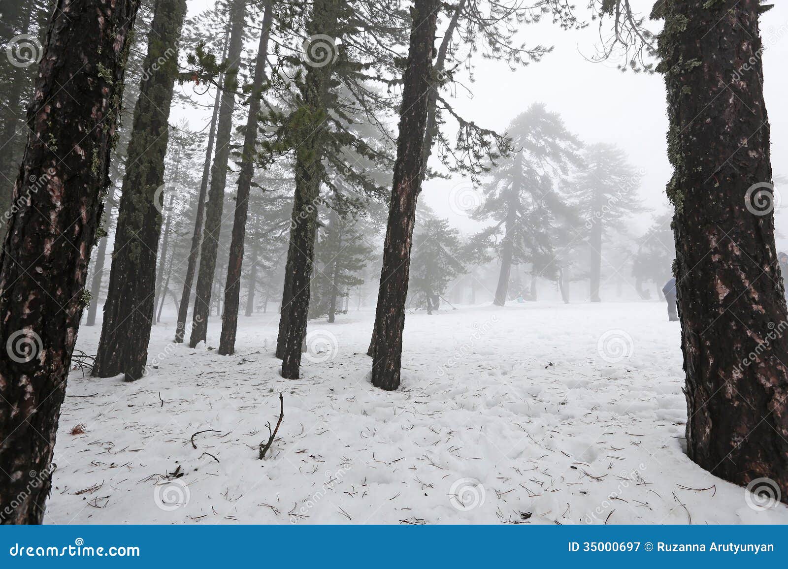 Dia nevoento do inverno imagem de stock. Imagem de entristecido - 35000697