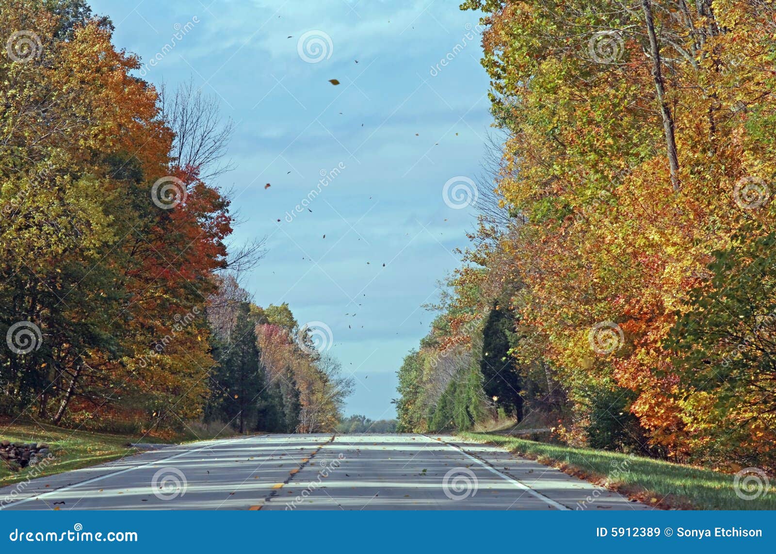 Dia ventoso imagem de stock. Imagem de fundir, ventoso - 5912389