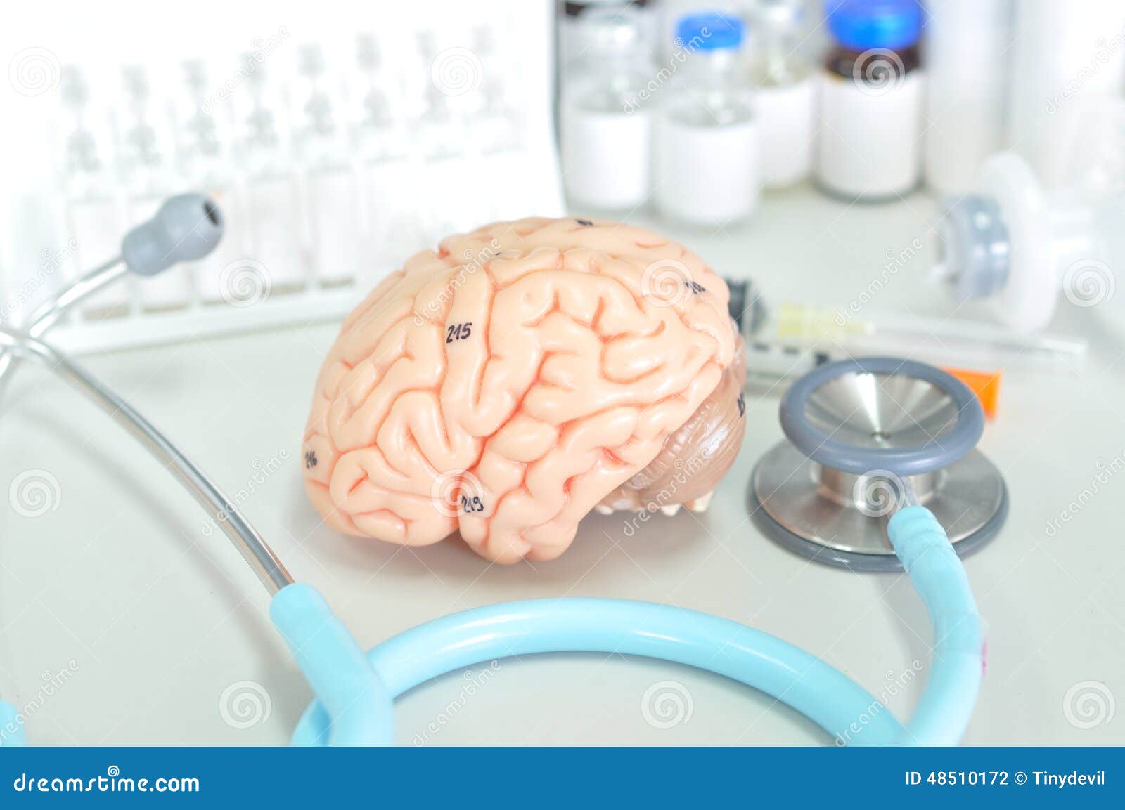 Diagnosis of human brain stock photo. Image of neurology - 48510172