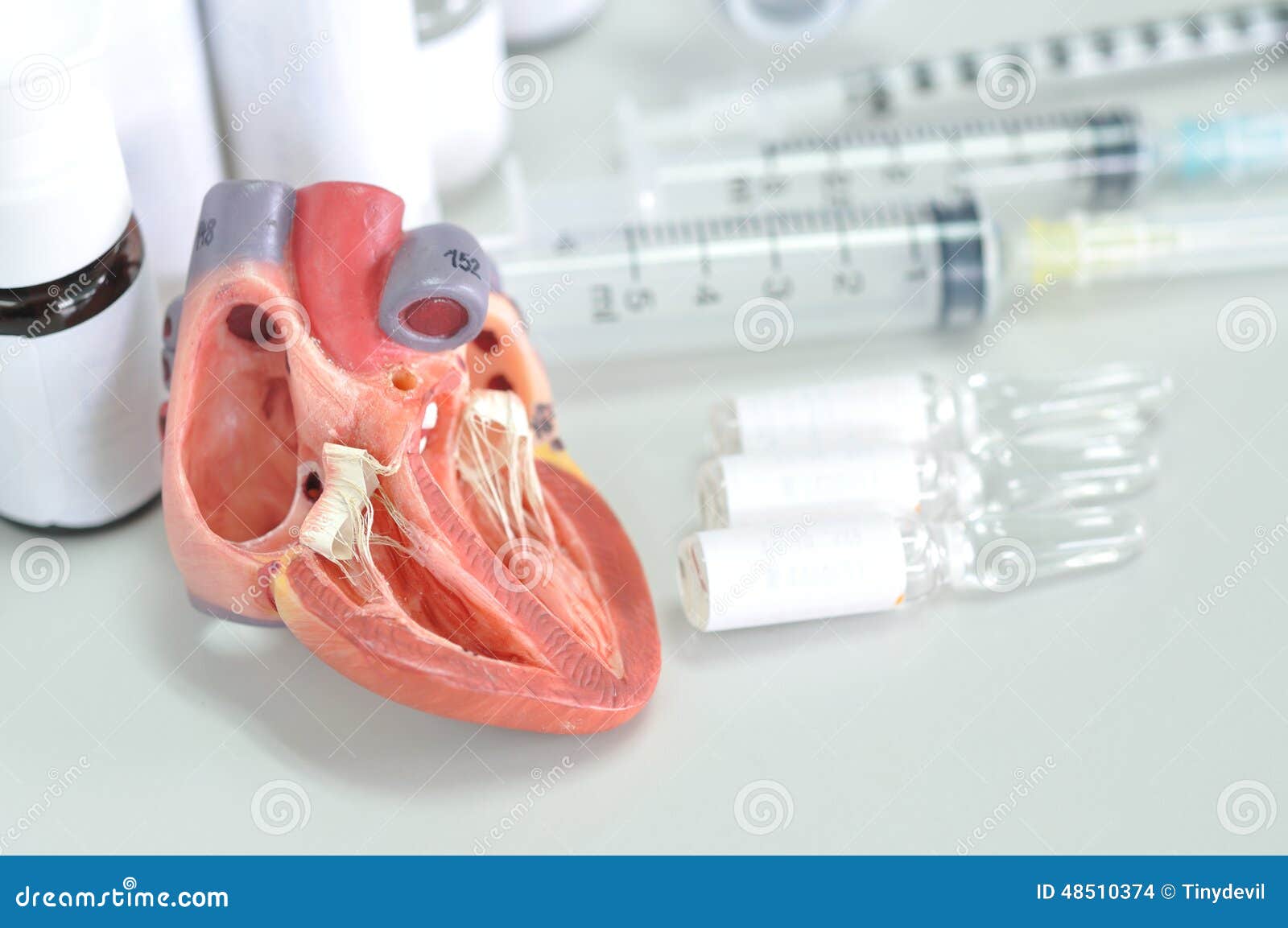 Diagnosis of human heart stock photo. Image of diagnose - 48510374