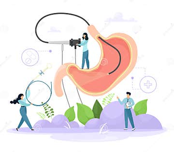 Diagnosis of the Stomach Using Endoscopy. Human Stomach with Endoscope ...
